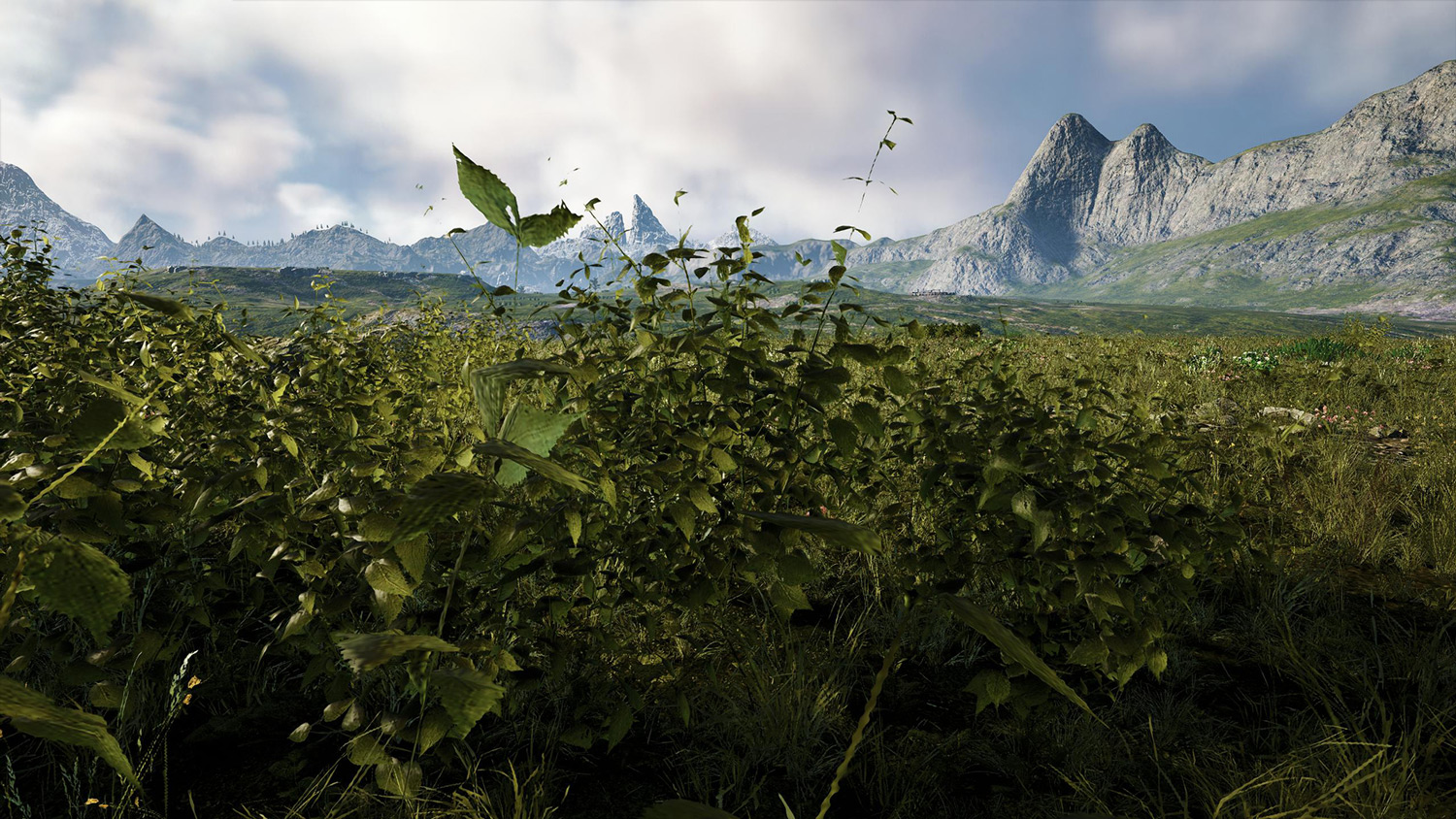 Mortal Online Map - Steppe Nettle